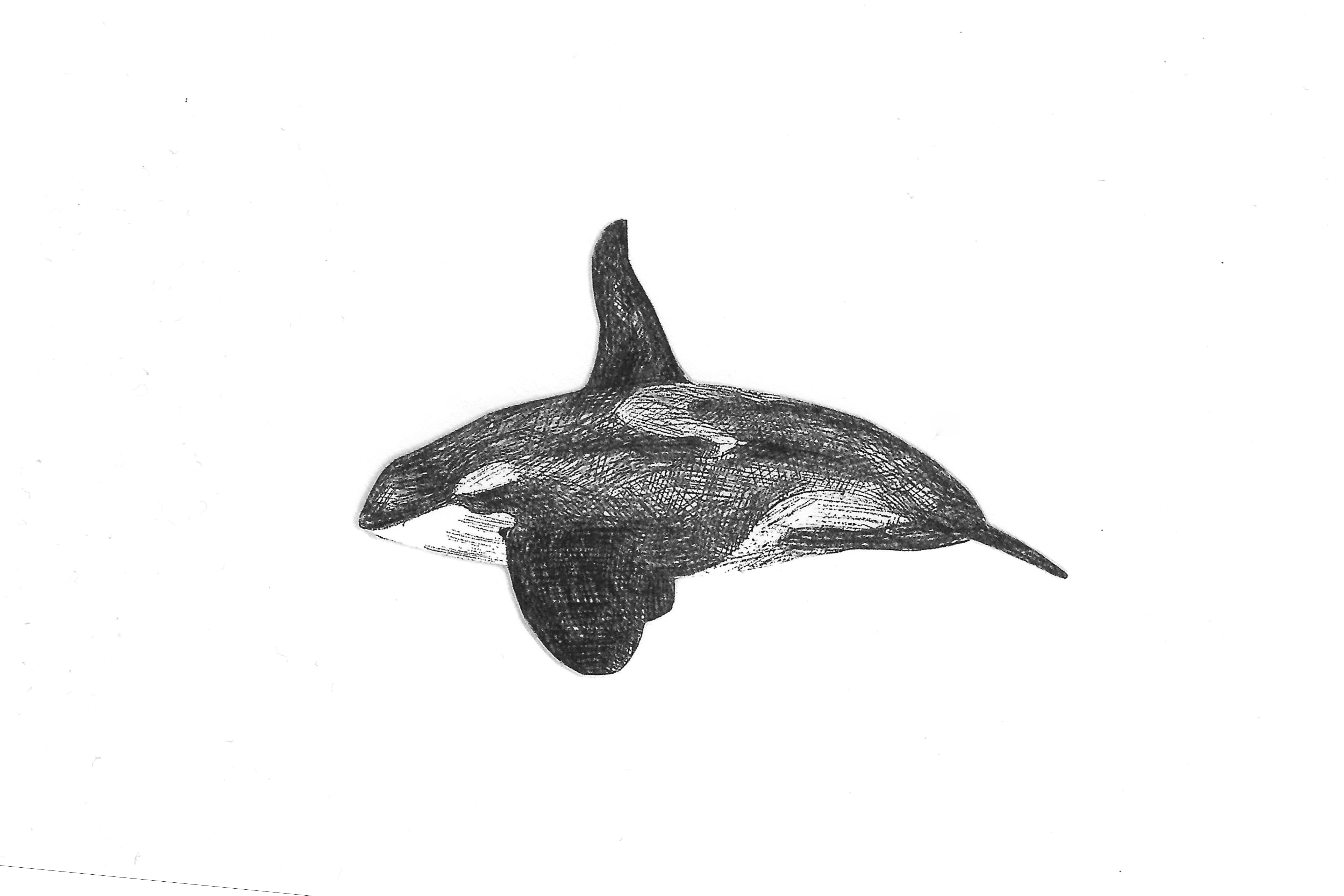 Natasha van Netten Shop – Natasha van Netten Designs